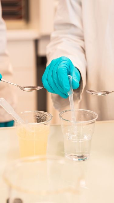 ISIPCA - Campus, Formations et Avis | Diplomeo.com