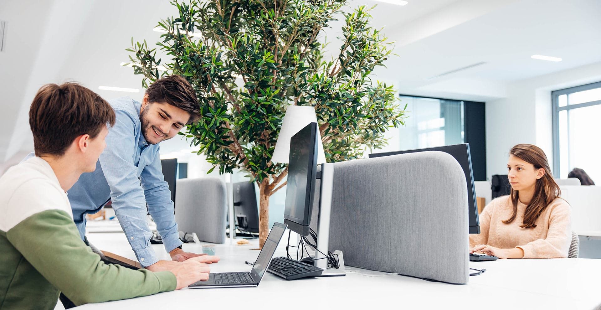 Havea recrute. 54 offres d'emploi